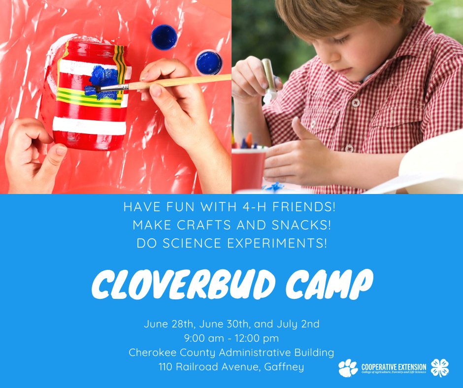 Cloverbud Camp | Cherokee County